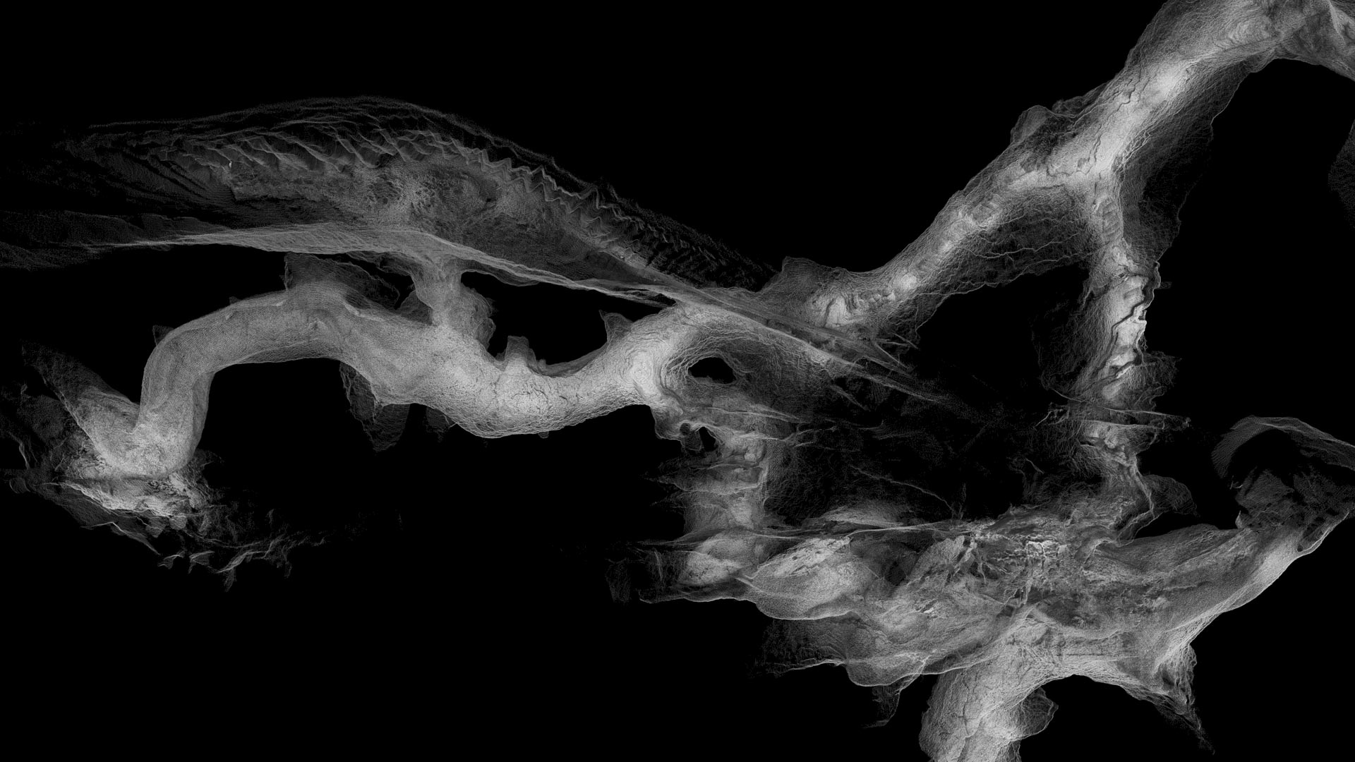 3D Cave Map – adventure360.co.nz